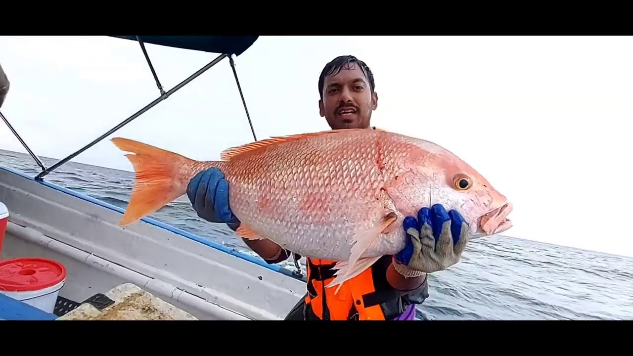 Hunting Monster red fish in Trinidad waters 🎣💪🐟. - YouTube
