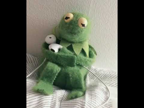 Kermit bad photos🤣🤣 - YouTube