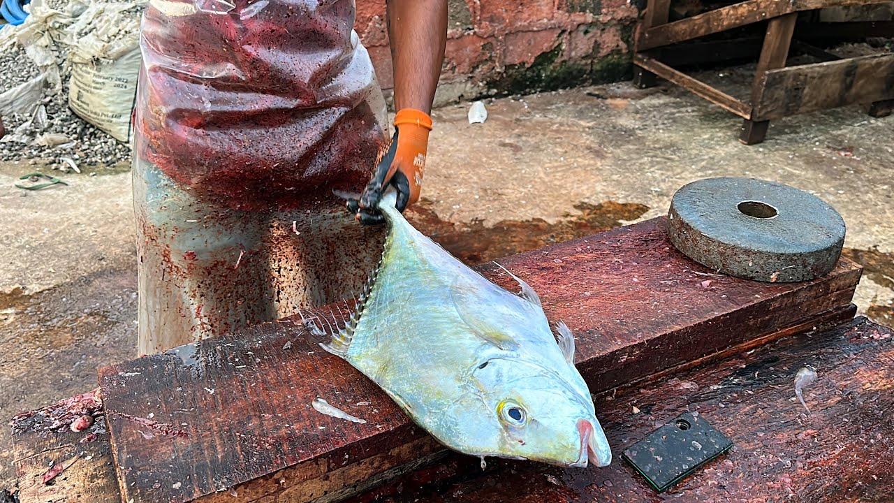 Beautiful Diamond Trevally Fish Cutting Skills | why is it Called ...