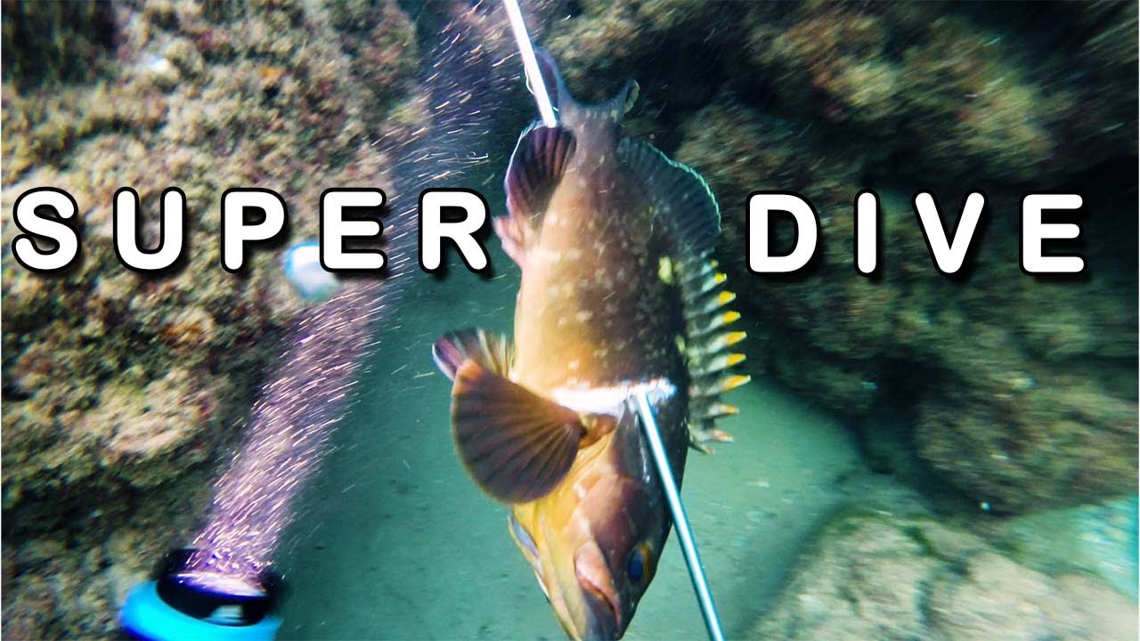 Spearfishing In Israel - Super Dive! - YouTube