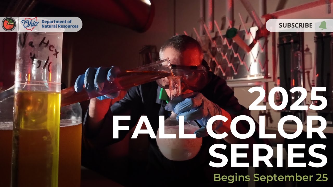 ODNR map shows foliage forecast, where fall colors are peaking in Ohio