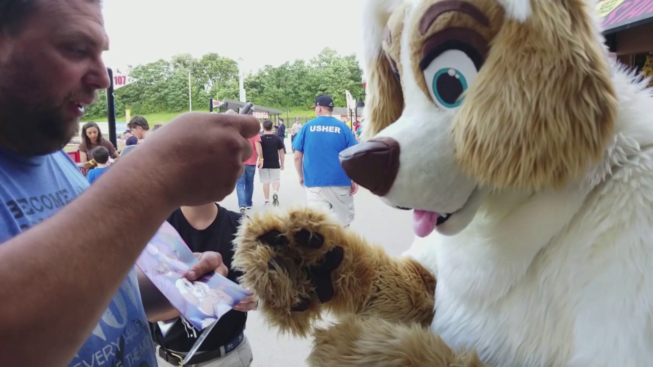 Ringtail Cafe @ Florence Freedom 2017 - YouTube