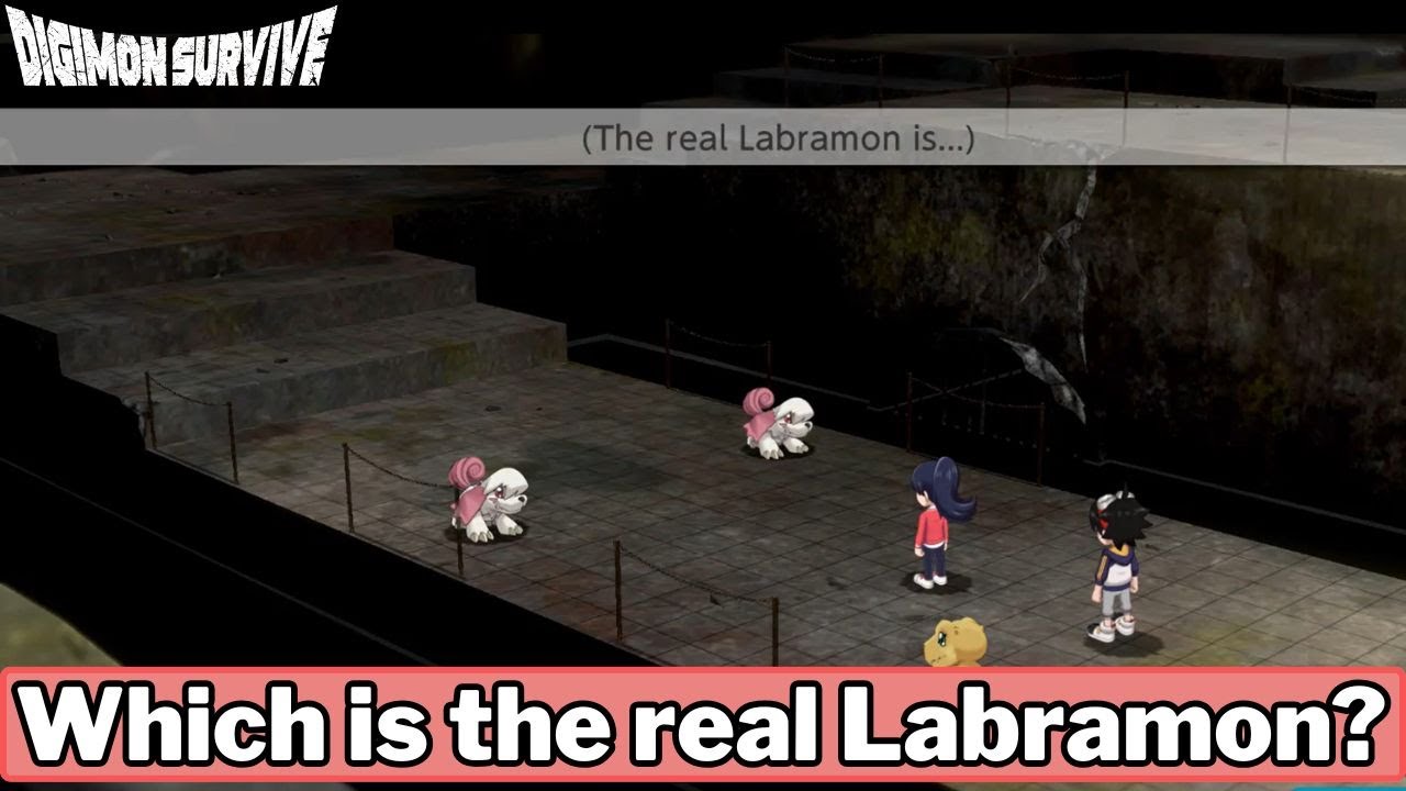 Which one is the real Labramon? - Digimon Survive - YouTube