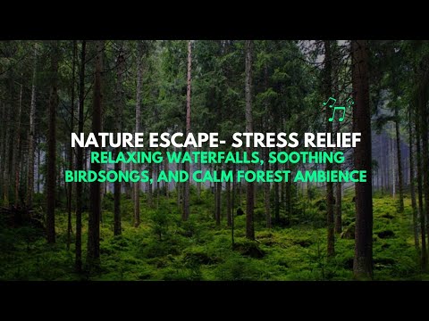 Nature Escape- Stress Relief: Relaxing Waterfalls, Soothing Birdsongs ...
