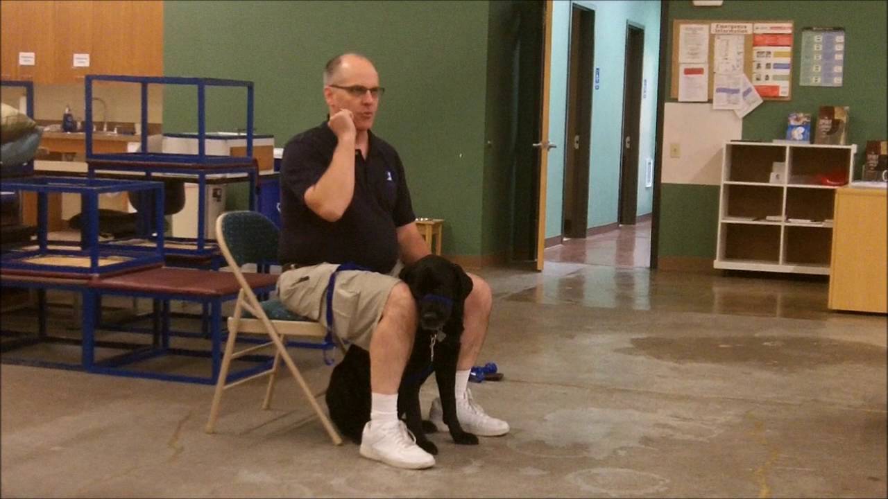 Mark Kipp demo of Ripken - YouTube