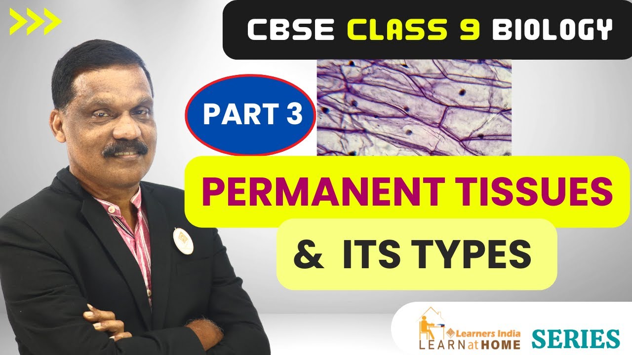 CBSE Class 9 Biology| Chapter 2 |PART 3| Permanent tissues & its types ...