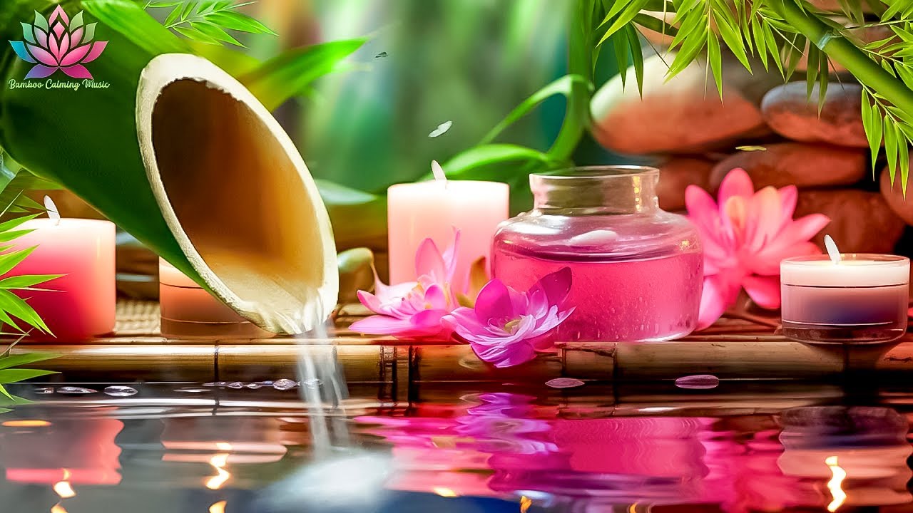 Relaxing Music for Stress Relief 🌿 Heals the Mind, Bamboo, Calming ...