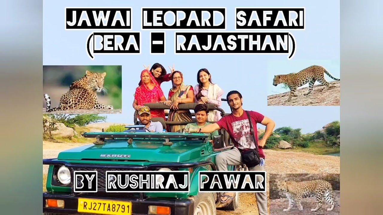 JAWAI LEOPARD SAFARI (BERA - RAJASTHAN ) By Rushiraj Pawar - YouTube
