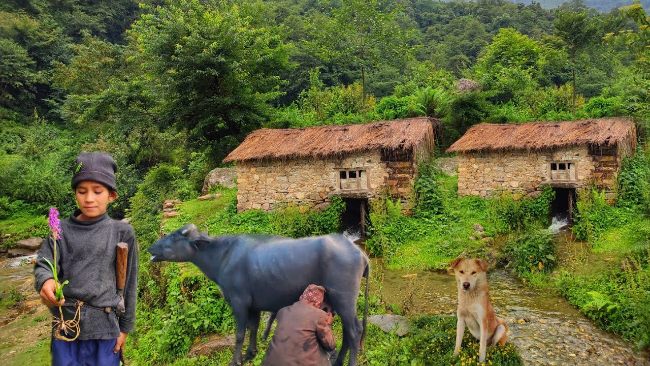 Remote Rural village life in Nepal| Survivable life| Primitive ...