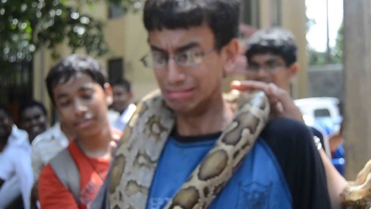 Boy scared of a snake. - YouTube