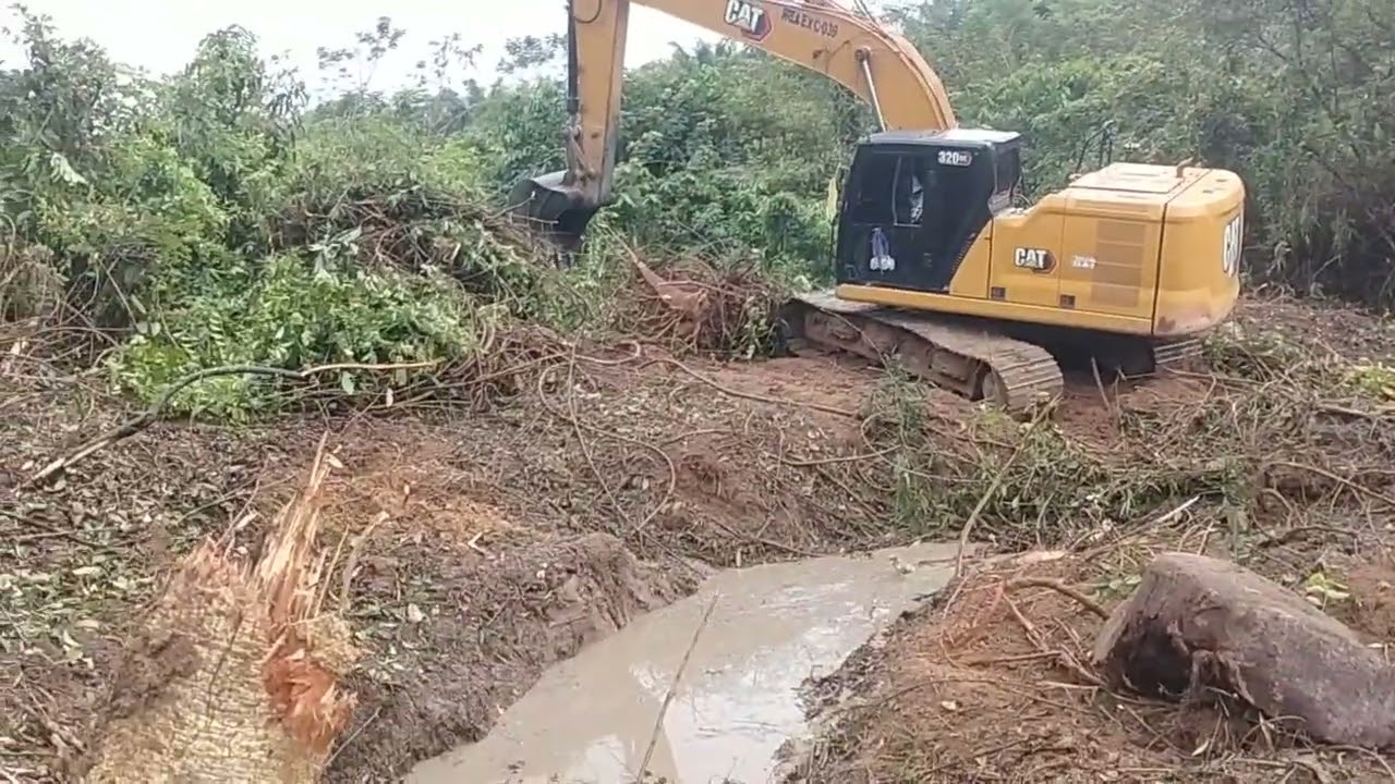 Digging trees in take a road 5 - YouTube