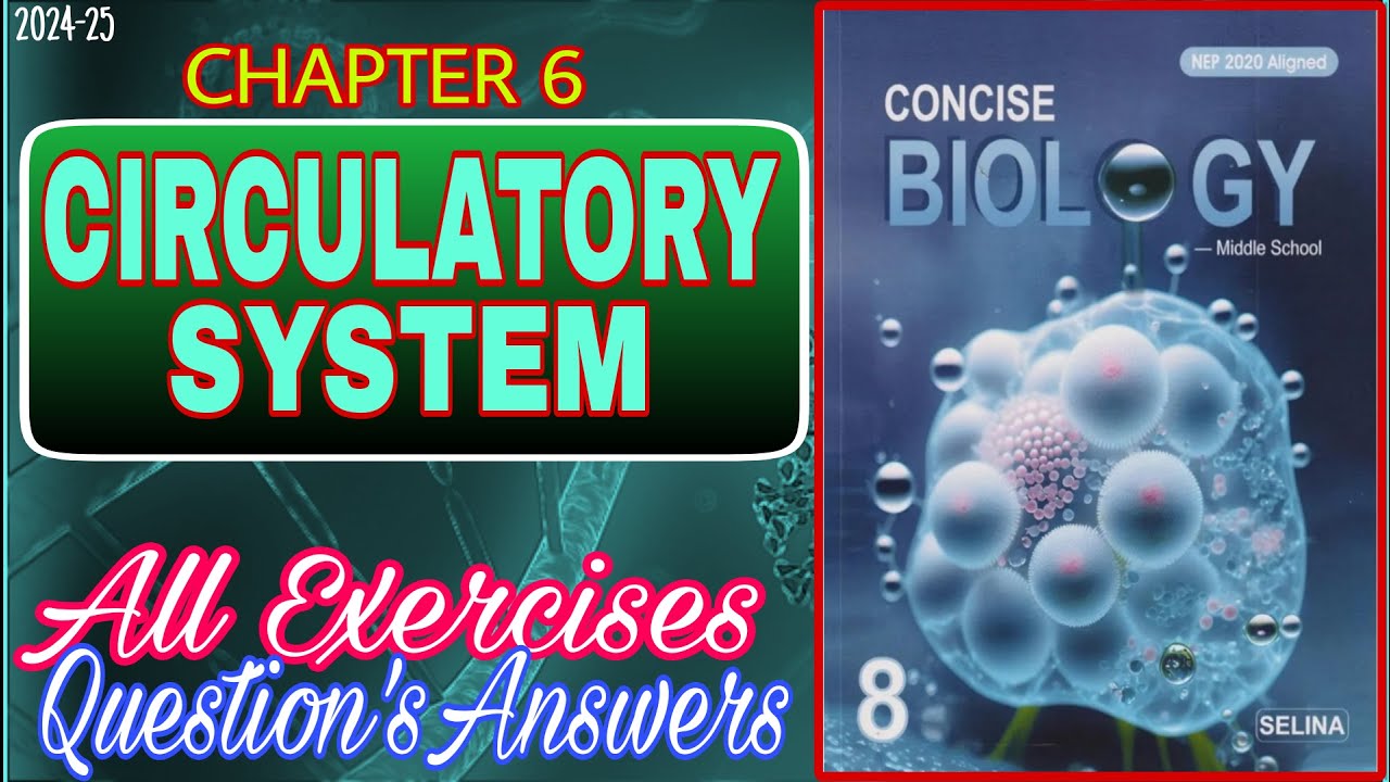 The Circulatory System Class 8 | Biology Chapter 6 | All Answers | 2024 ...