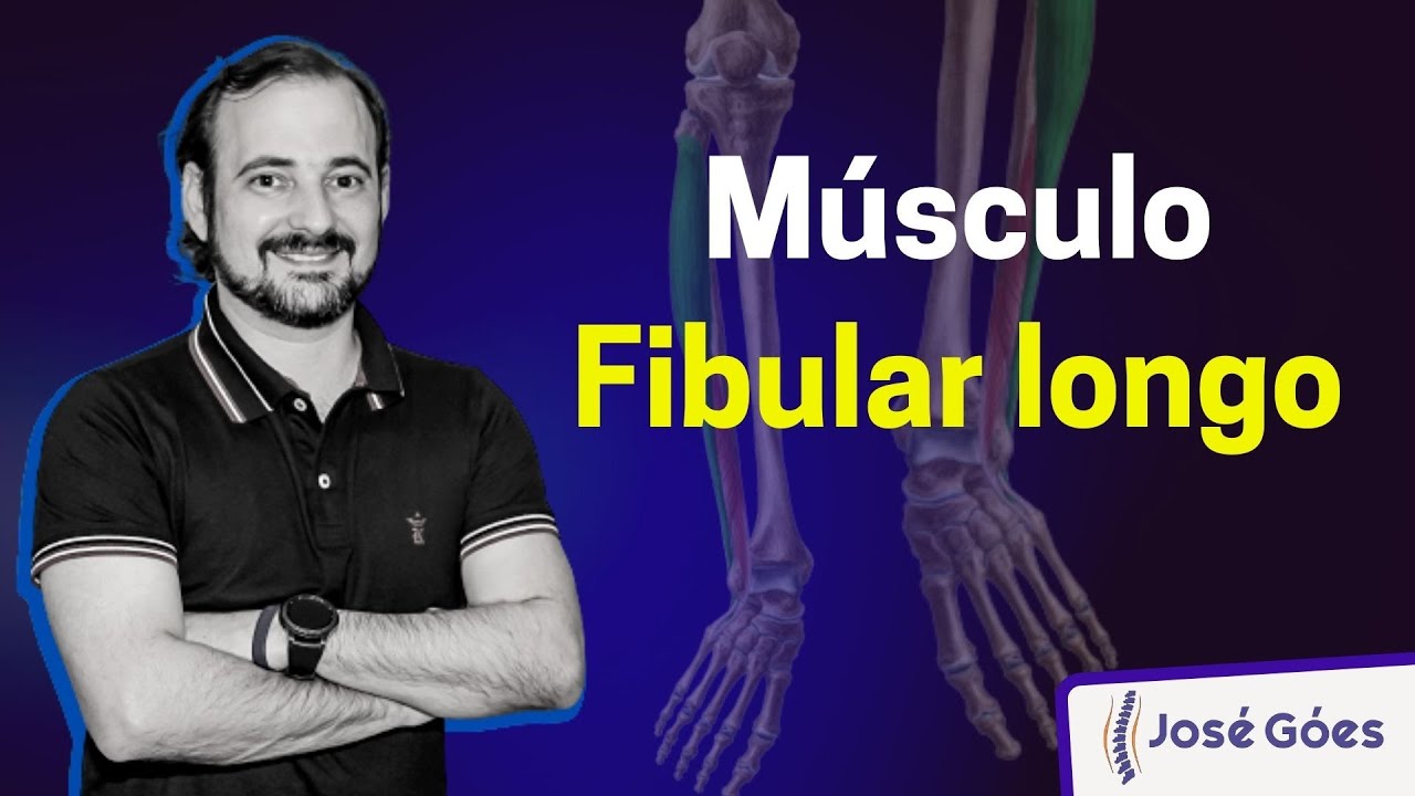 Músculo fibular longo | José Góes - YouTube