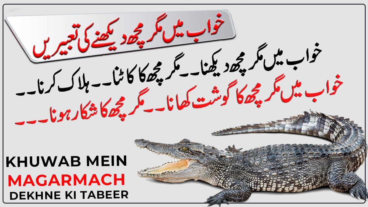 Khwab Mein Magarmach Dekhne ki Tabeer|How to See Crocodile in Dreams ...