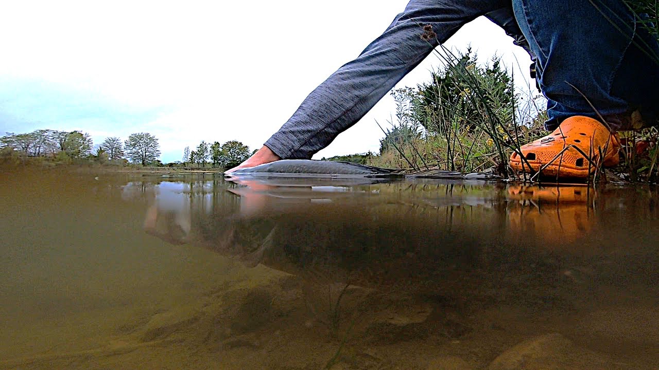 Bank fishing for some PIGZ - YouTube