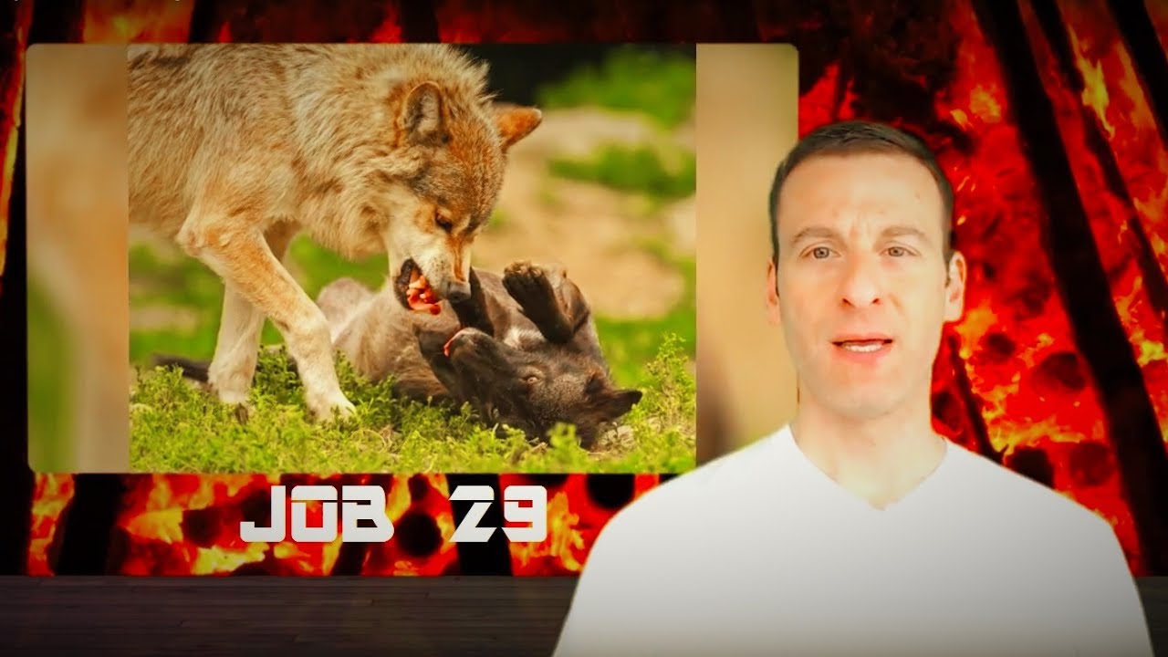 Job Chapter 29 Summary and What God Wants From Us - YouTube