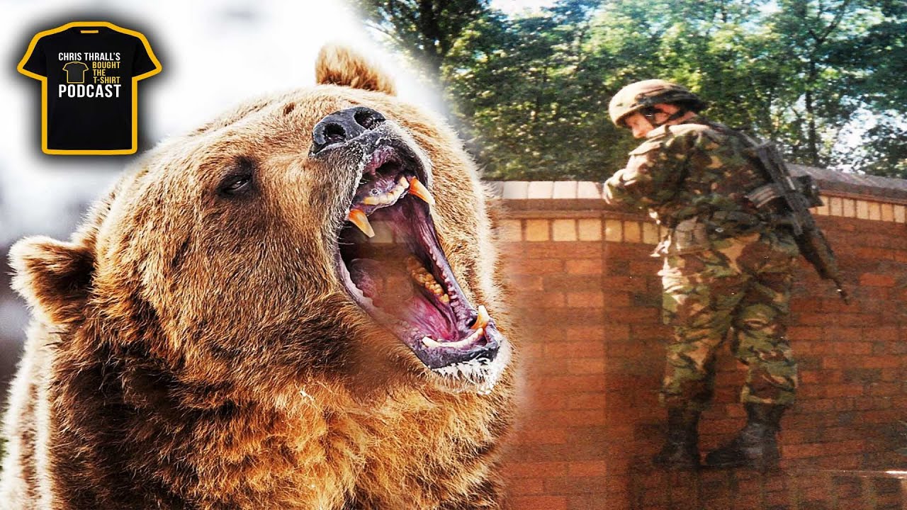 Grizzly Bears & Commandos Don't Mix 👊🏼 Bought The T-Shirt SHORTS - YouTube