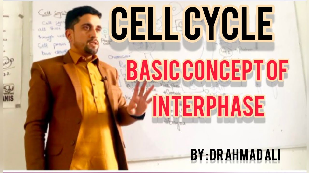 Interphase|Cell cycle|Cell division| Biology and Physiology - YouTube