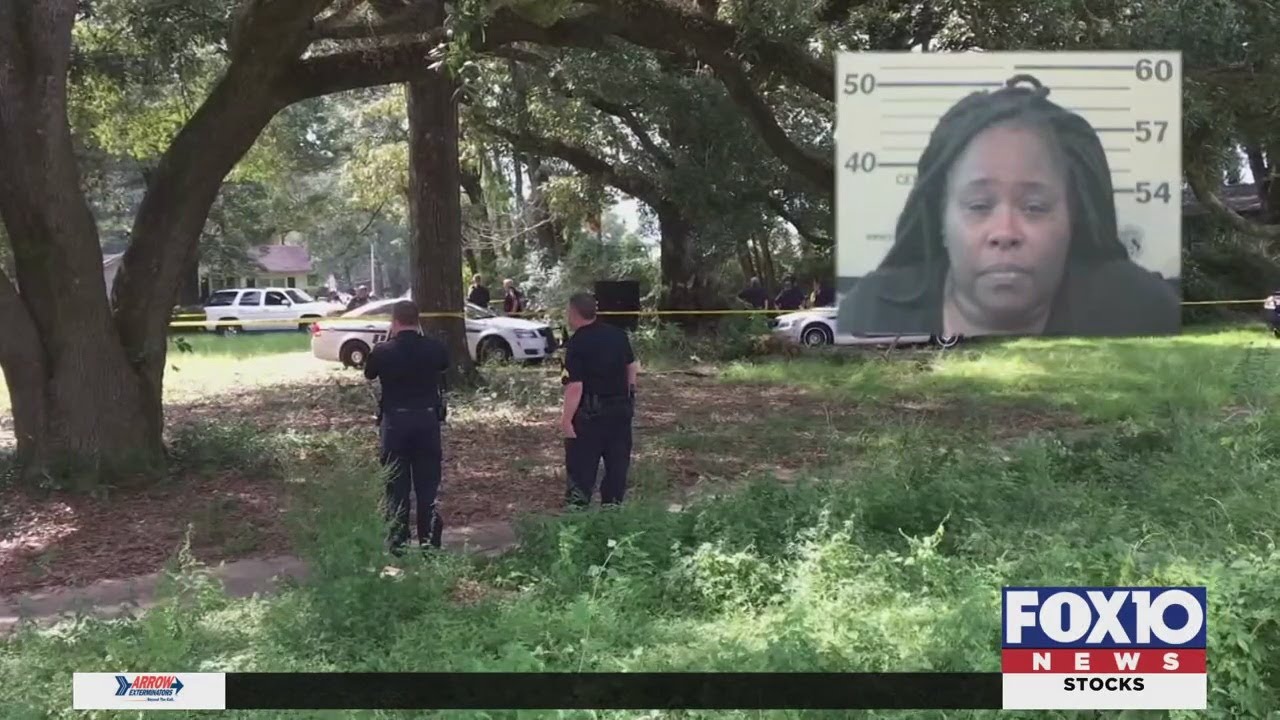 Former daycare employee pleads guilty in hot van death of Kamden ...