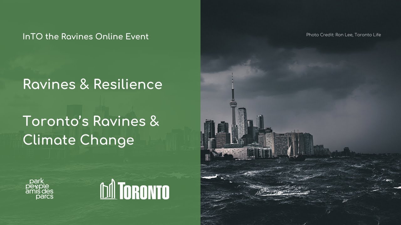 Ravines + Resilience: Toronto’s Ravines and Climate Change - YouTube