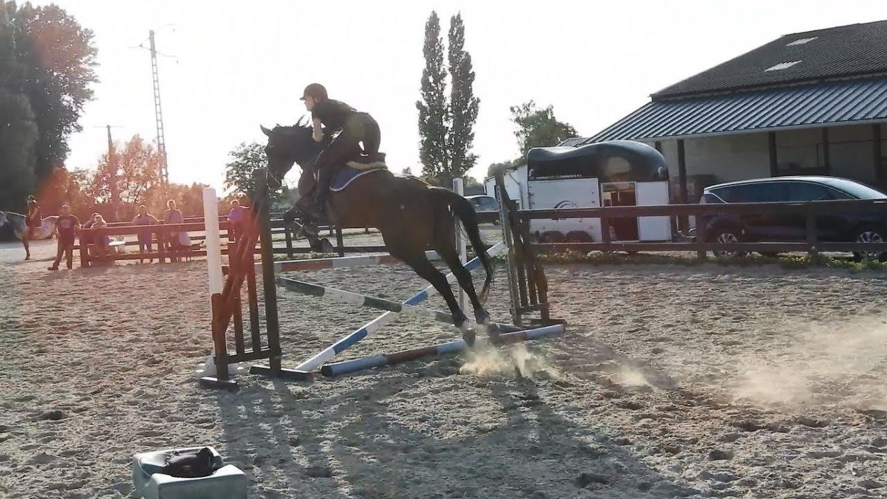 Cours de saut - Préparations pour le concours - YouTube