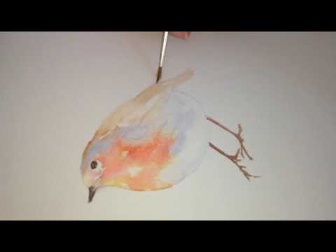 Watercolour robin - YouTube