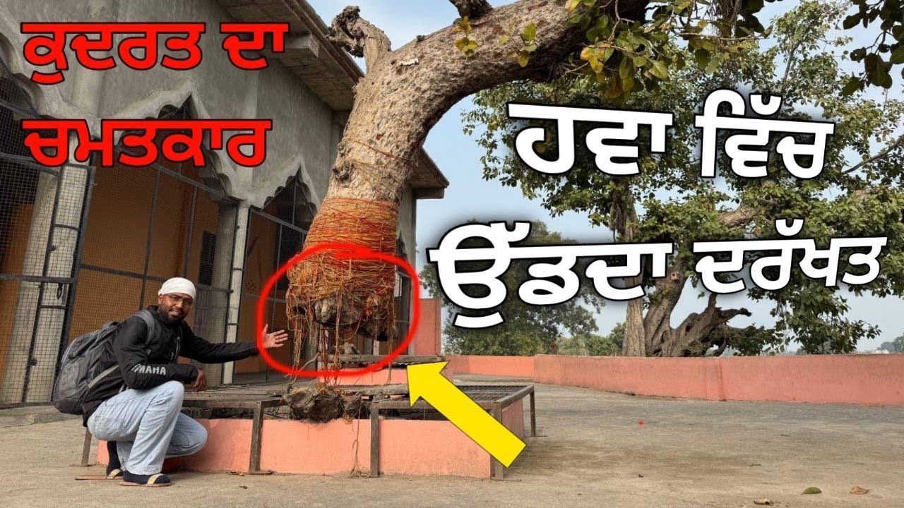 Ep- 1 | ਹਵਾ ਵਿੱਚ ਉੱਡਦਾ ਦਰਖ਼ਤ | Manpreet Sran vlogs | hanging tree hansi ...