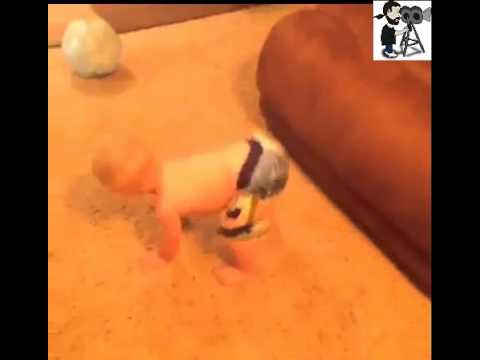 Baby Twerking | Bebe Dançando
