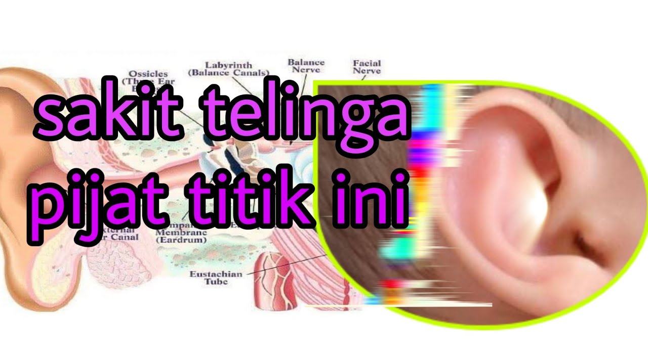 Pijat Refleksi Saat Sakit Telinga - YouTube