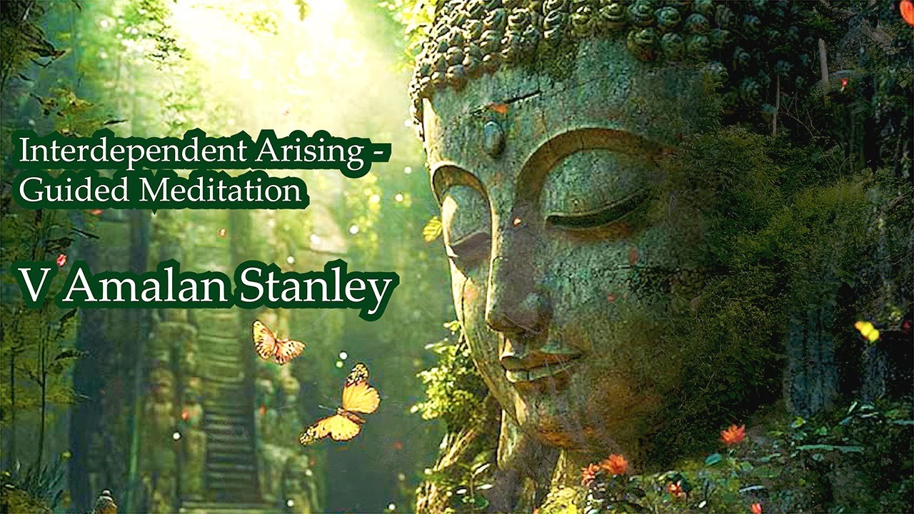 Interdependent Arising - Guided Meditation - YouTube