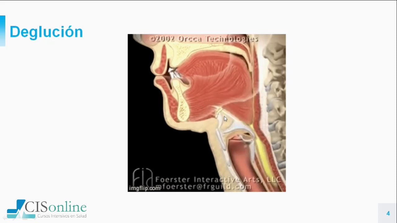 Muestra Deglucion - YouTube