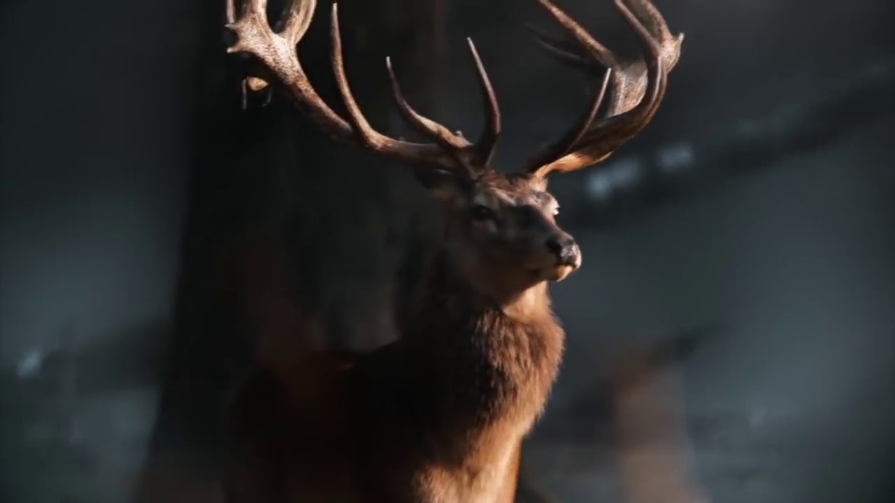 SONY BRAVIA OLED TV Commercial Werbespot April 2018 - YouTube