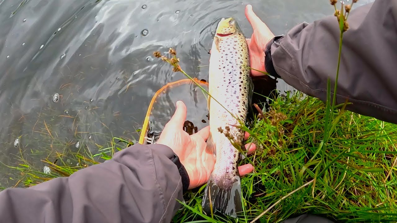 Fishing a Small Loch in the Galloway Hills with Davie McPhail - YouTube