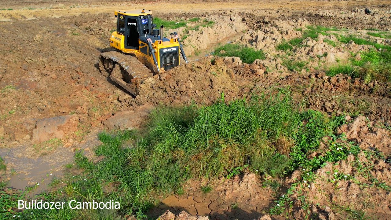 The Best , Wonderful Perfect Activity of Bulldozer Clearing Cutting ...