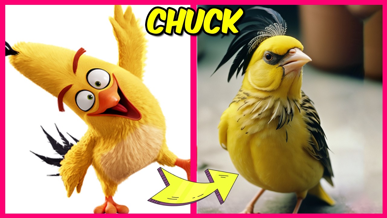 Angry Birds 3 in REAL LIFE and their Favorite DRINKS & Other Favorites ...