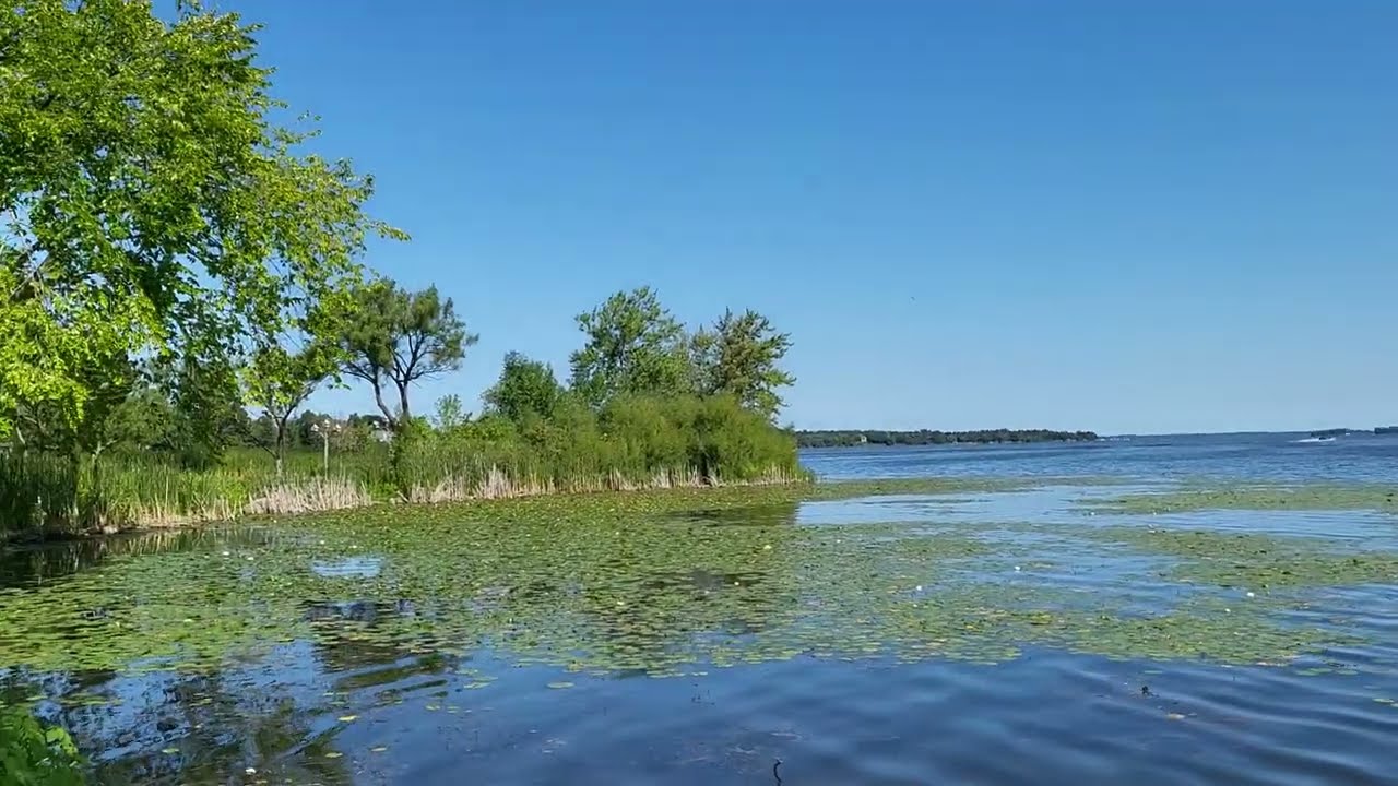 LAKE SCUGOG / PORT PERRY / ONTARIO, CANADA - YouTube