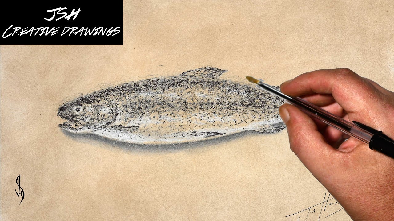 How to Draw a Rainbow Trout Real Time Drawing - YouTube