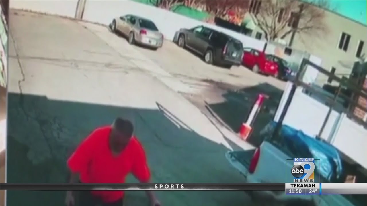 dogs left behind - YouTube