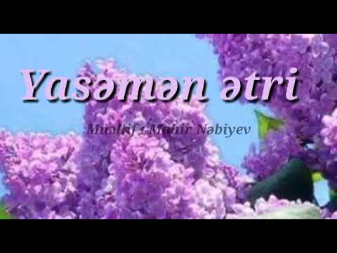 Mahir Təvəkküloğlu (Nəbiyev)