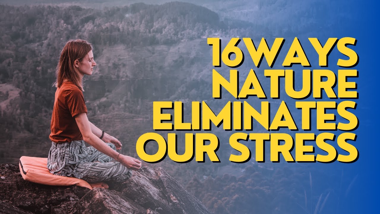 Nature's Stress-Relief: 16 Ways Nature Eliminates Our Stress - YouTube