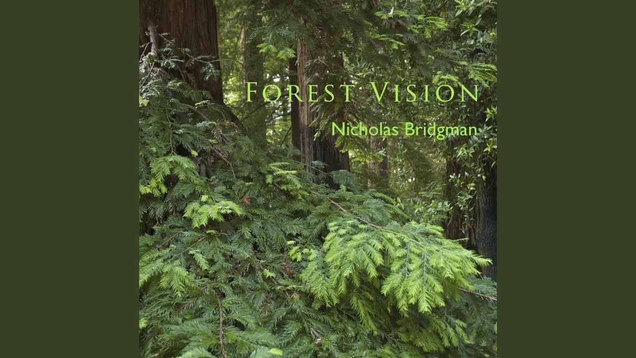 Forest Vision - YouTube