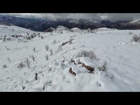 -5 DERECE KARDA TAVŞAN AVIM.. SOĞUKTAN EMNİYETİ ZOR AÇTIM :))