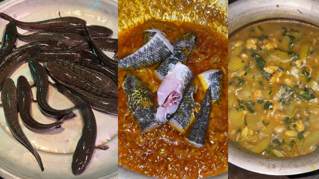 Bottle Gourd Curry With Snakehead Fish / Taki Mach Diye Lau Ranna - YouTube