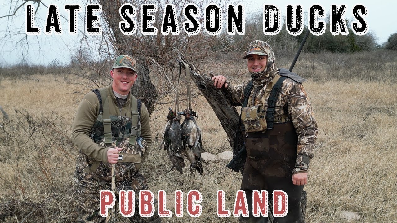 Texas Duck Hunting I 2 Man Limit (Late-Season) - YouTube