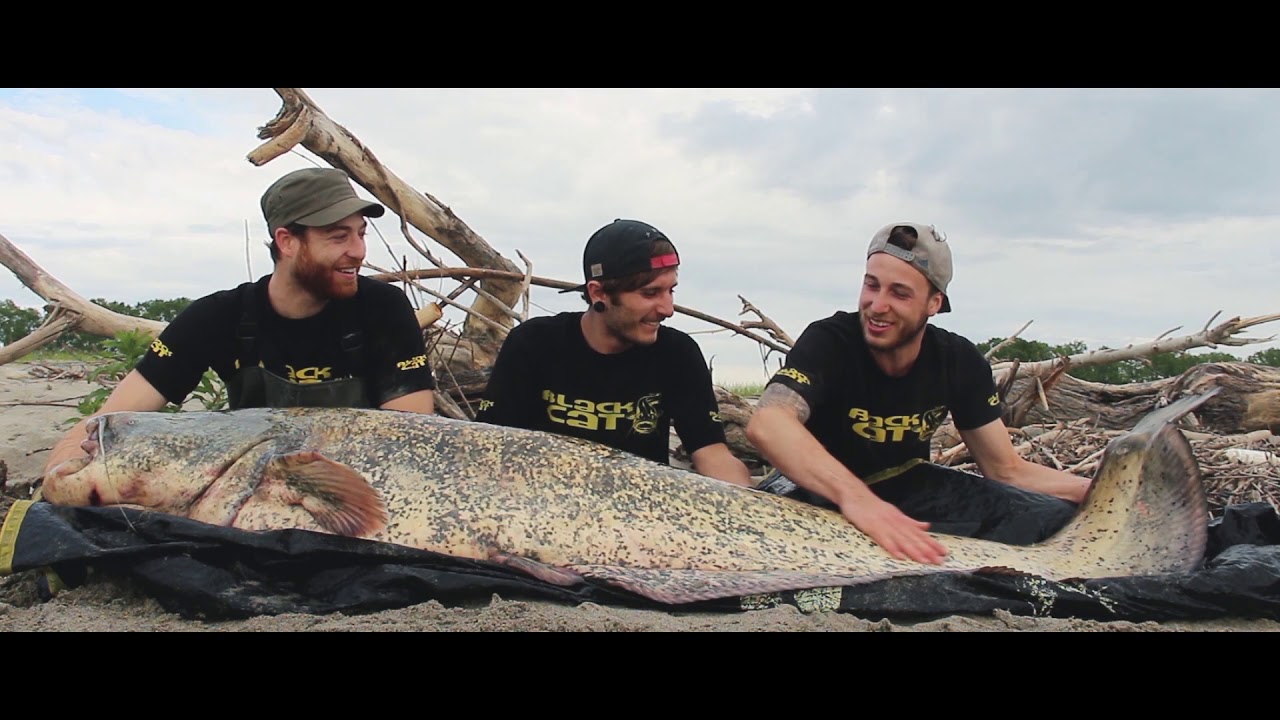 Film Award – Neuer Beitrag von Alex Preiss und Troppacher Johann - YouTube