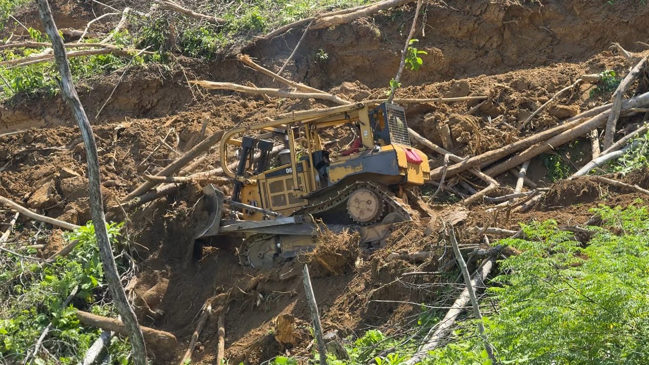 Beast Mode! Caterpillar Bulldozer Takes Down Anything in Its Path - YouTube