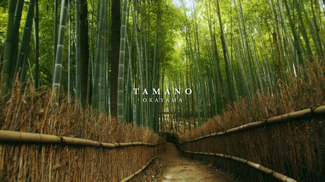 TAMANO | BMPCC4K | Sigma 18-35mm F1.8 Art | Cinematic Video - YouTube