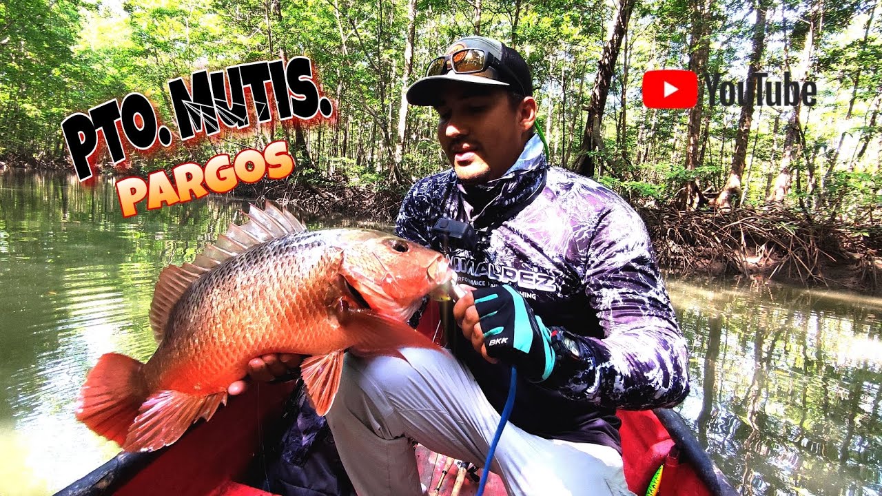 La Mejor Pesca de Panamá, Esteros de Mutis || The Best Fishing in ...