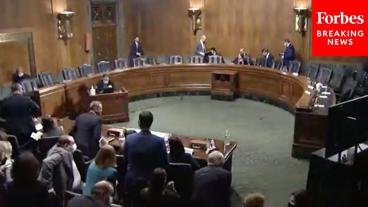 Democrats And Republicans Grill Key Biden Nominees At Senate Judiciary ...