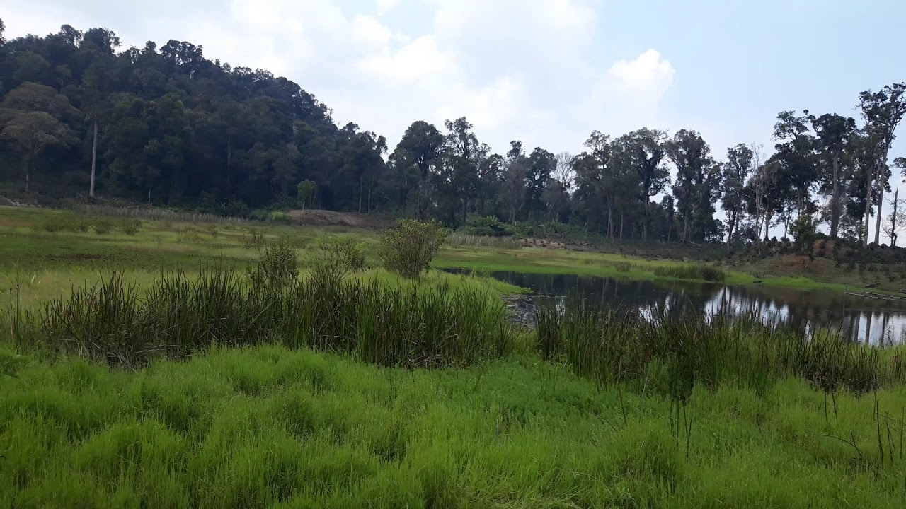 Situ cirompang desa gunung jampang - YouTube